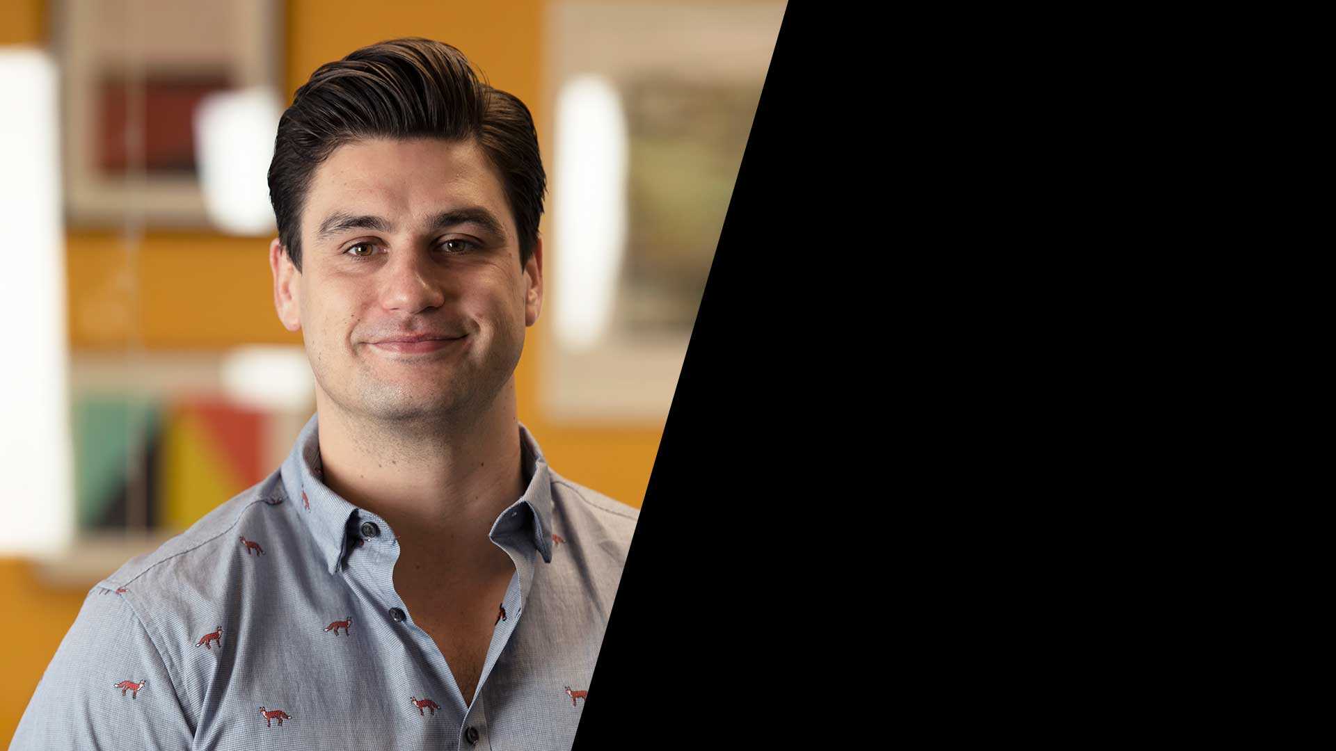 Dan Fine - Hive Business